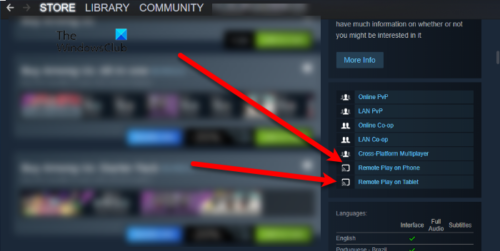 Steam Remote Play not working on Windows PC