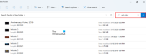 How to search for only Video files in File Explorer of Windows 11