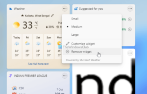 Show or hide Information Cards in Widgets in Windows 11/10
