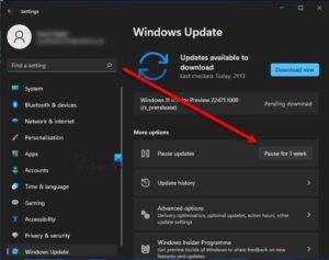 How to Turn Off Automatic Update in Windows 11