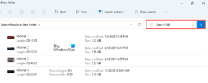 Hard drive full? How to find the largest files on Windows 11/10?
