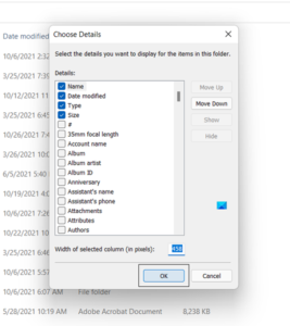 How to change Column Width size of File Explorer in Windows 11