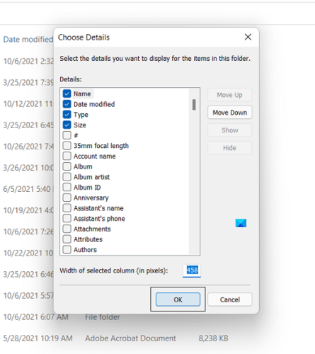 How to change Column Width size of File Explorer in Windows 11