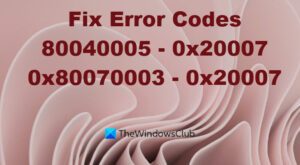 Error 0x80070003 - 0x20007 or 80040005 - 0x20007 on Windows 11