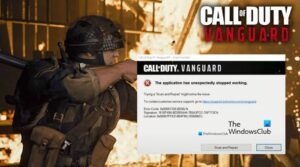 CoD Vanguard Error Code 0x00001338 N on Windows PC