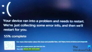 DRIVER PNP WATCHDOG Blue Screen error on Windows 11