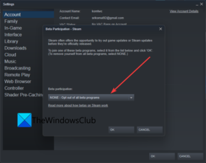 Fix Steam Error Code 41 on Windows PC
