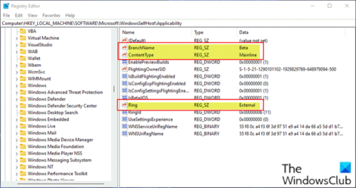 Windows 11 not showing up in Windows Update Settings
