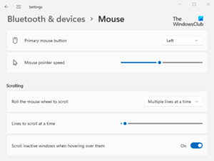 Bluetooth & devices Settings in Windows 11