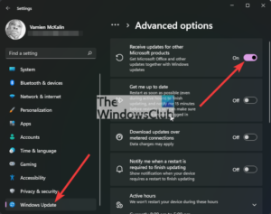 Office doesn’t recognize the command it was given