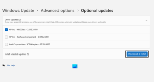 Fix: Pink Screen of Death error in Windows 11/10