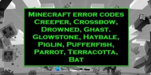 Minecraft Error Code Crossbow, Creeper, Glowstone on PC