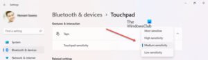 Enable, configure, use Precision Touchpad settings in Windows 11
