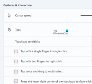 Enable, configure, use Precision Touchpad settings in Windows 11