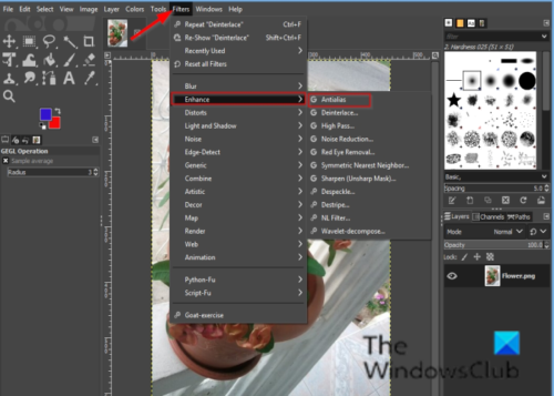 How to use the Enhance filters in GIMP