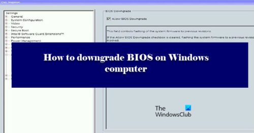 What is a BIOS Whitelist? Explanation and removal.