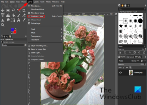 How to use the Enhance filters in GIMP