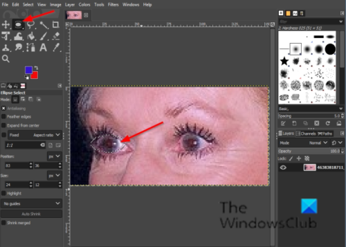 How to use the Enhance filters in GIMP