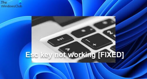 Windows 11 Tilde key not working [Fix]