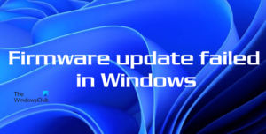 Fix Firmware update failed in Windows 11/10