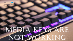 Media Keys not working in Windows 11/10