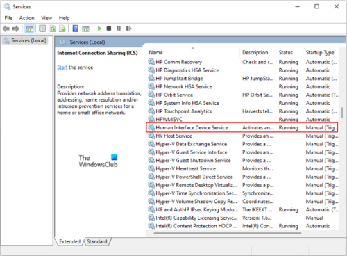 Media Keys not working in Windows 11