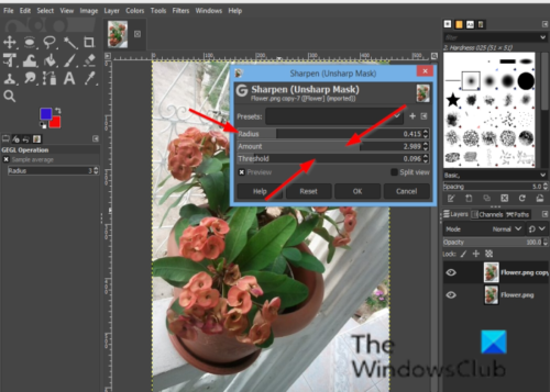 How to use the Enhance filters in GIMP