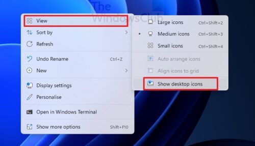 Desktop icons not showing in Windows 11/10
