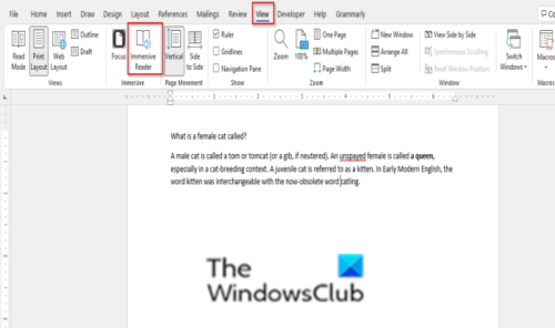 How to use Immersive Reader in Word and Edge