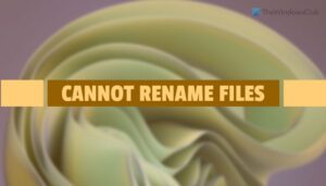 Cannot rename files in Windows 11 [Fix]