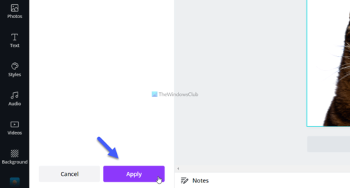 How to remove Image Background in Canva