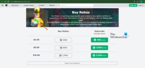 How to buy Robux in India on PC
