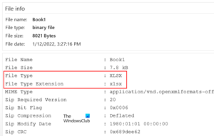 How to open file with no extension in Windows 11/10