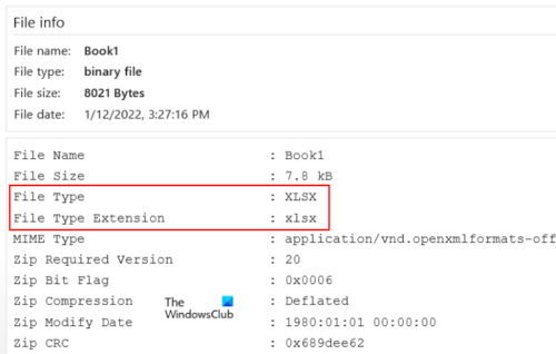 How to open file with no extension in Windows 11/10