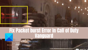 Fix Packet burst error in Vanguard Call of Duty