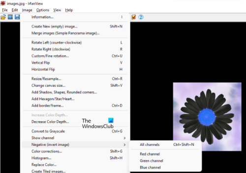 How to invert the color of an image on Windows PC