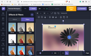 How to invert the color of an image on Windows PC