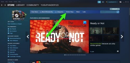What are Steam Points and How do they work?