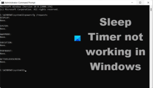 Fix Sleep Timer not working in Windows 11/10