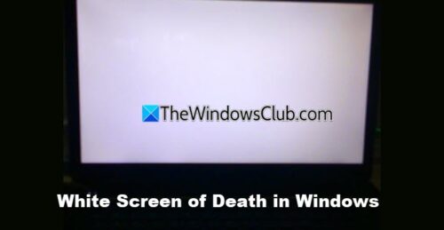 White Screen on Windows 11 [Fix]