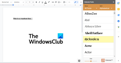 How to add a Custom Font to Google Docs