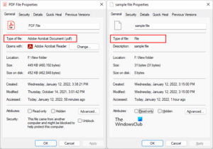 What are File Extensions and why are they important?