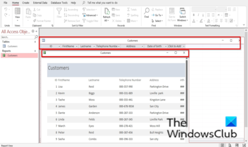 How to set Document Window Options in Access