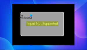 Fix Input Not Supported Monitor error on Windows PC