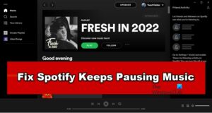 Spotify keeps pausing Music or stopping on Windows PC