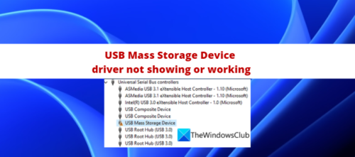 Usb Mass Storage Device Driver Not Showing Or Working