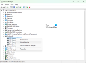 Fix This device is disabled (Code 22) error in Windows 11/10