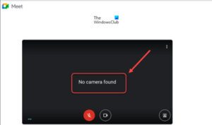 No Camera found in Google Meet on Windows 11/10 PC