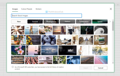 How to insert an Image in Microsoft Excel and Excel Online