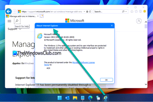How to open and use Internet Explorer in Windows 11?